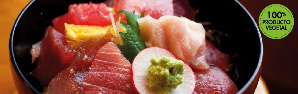 Comida Gourmet Plant Based | Singular Bites