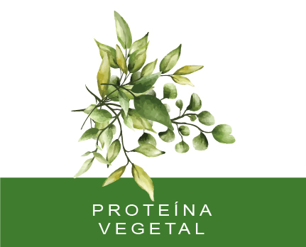 Comida Gourmet Plant Based | Singular Bites